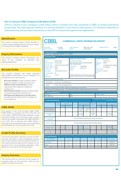 FREE 5+ Business Credit Report Samples in PDF | MS Word