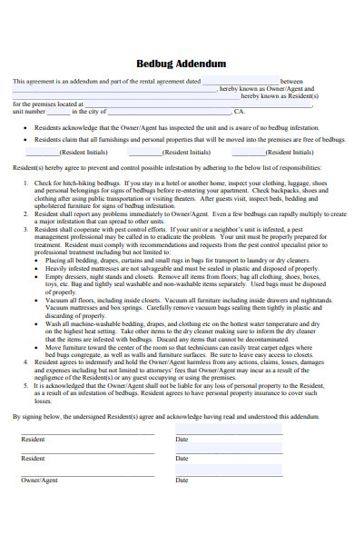 FREE 10+ Bed Bug Addendum Forms in PDF | MS Word