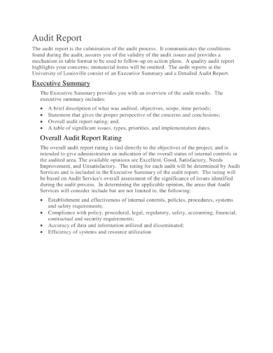 FREE 6+ Technical Audit Report Samples in PDF | MS Word