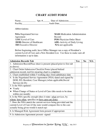 FREE 6 Chart Audit Forms In PDF Excel