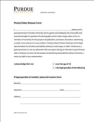 FREE 8+ Media Liability Release Forms in PDF | MS Word