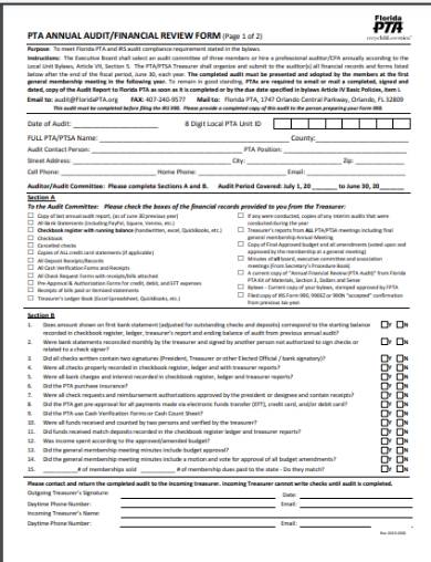 FREE 4+ Financial Audit Forms in PDF