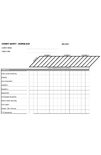 FREE 10+ Chart Audit Form Samples, PDF, MS Word, Google Docs, Excel