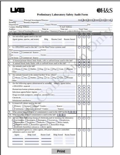 FREE 14+ Safety Audit Form Samples, PDF, MS Word, Google Docs