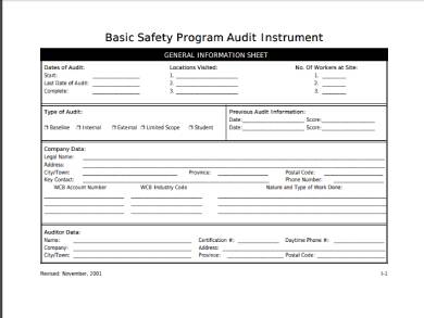 FREE 14+ Safety Audit Form Samples, PDF, MS Word, Google Docs