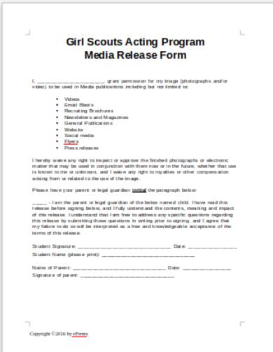 FREE 8+ Media Liability Release Forms in PDF | MS Word