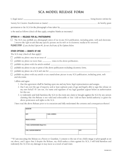 FREE 6+ Model / Photo Copyright Release Forms in PDF | MS Word