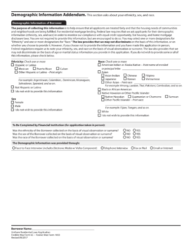 FREE 11+ Customer Demographic Samples, PDF, MS Word, Google Docs