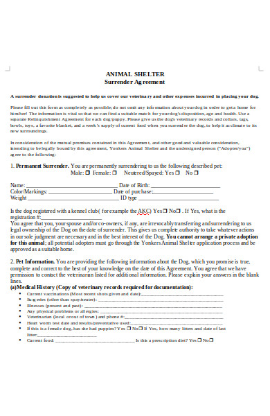 FREE 30+ Animal Shelter Forms in PDF | MS Word