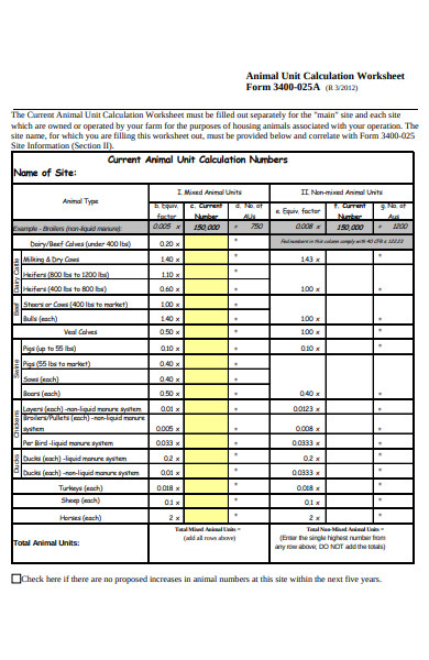 FREE 31+ Calculation Forms in PDF | MS Word