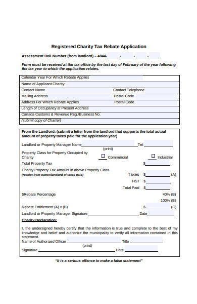FREE 34+ Charity Forms in PDF | MS Word | Excel