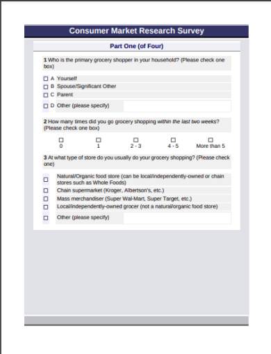 FREE 6+ Market Research Forms in PDF | MS Word