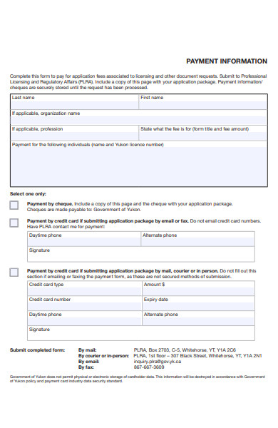 FREE 51+ Payment Forms in PDF | MS Word | Excel