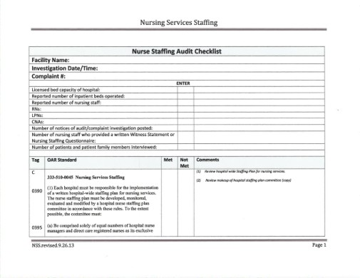FREE 10+ Nursing Audit Form Samples, PDF, MS Word, Google Docs