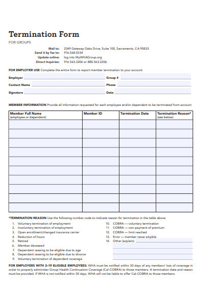 FREE 51+ Termination Forms in PDF | MS Word | XLS