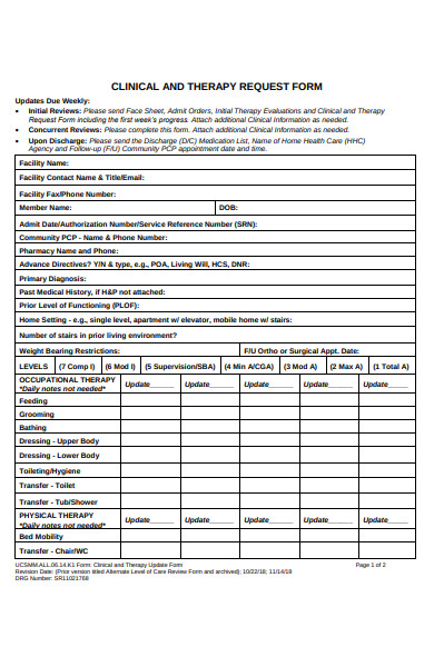 FREE 31+ Therapy Forms in PDF | MS Word | XLS