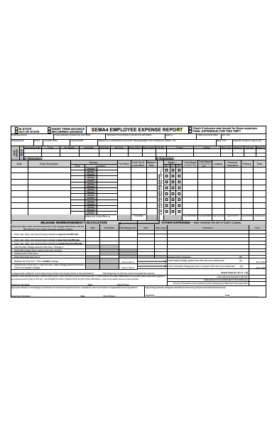 FREE 33+ Expenses Forms in PDF | Ms Word | XLS
