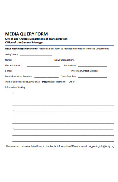 FREE 50 Sample Query Forms In PDF MS Word