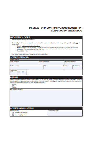 FREE 50+ Medical Forms in PDF | XLS