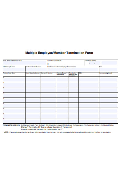 FREE 51+ Termination Forms in PDF | MS Word | XLS