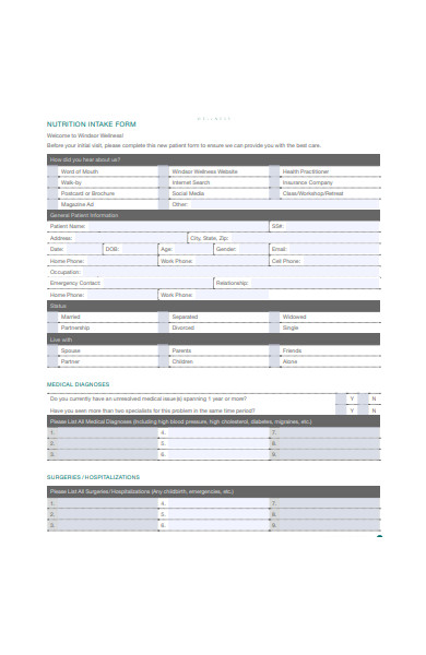 FREE 54+ Intake Forms in PDF | MS Word | XLS