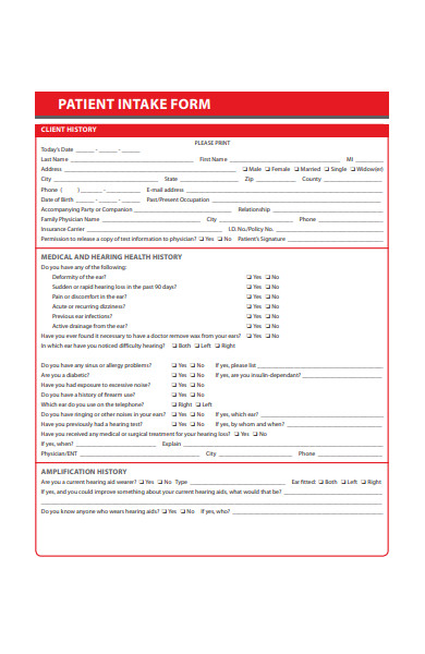 FREE 54+ Intake Forms in PDF | MS Word | XLS