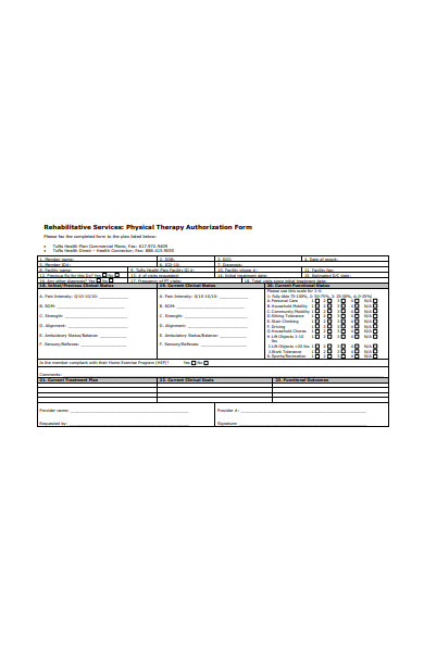 FREE 31+ Therapy Forms in PDF | MS Word | XLS