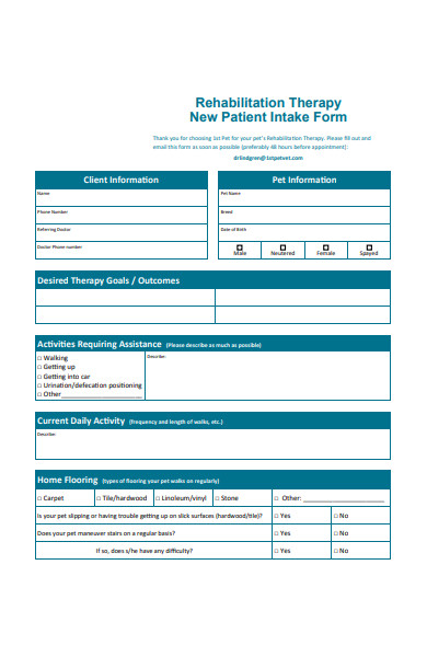 FREE 31+ Therapy Forms in PDF | MS Word | XLS