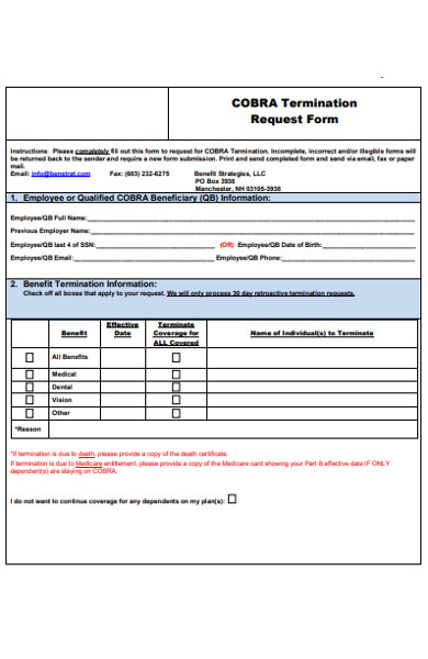 FREE 51+ Termination Forms in PDF | MS Word | XLS
