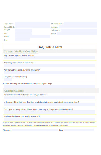 FREE 55+ Profile Form Samples, PDF, MS Word, Google Docs, Excel