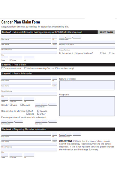 FREE 51+ Plan Forms in PDF | MS Word | Excel
