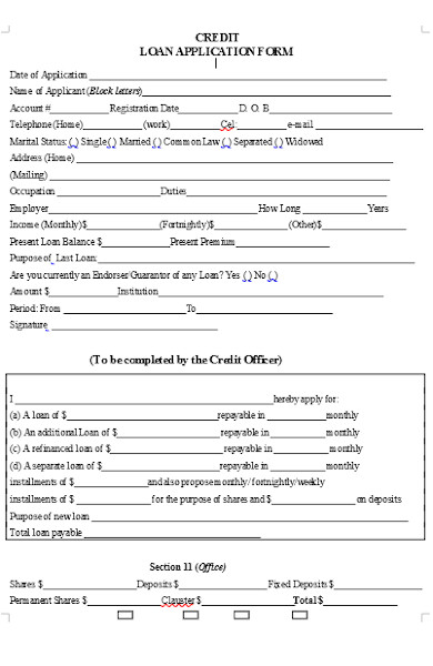 FREE 55+ Loan Forms in PDF | MS Word | Excel