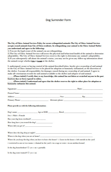 FREE 53+ Printable Forms in PDF | MS Word | Excel