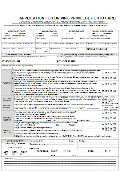 FREE 50+ License Forms Download – How to Create Guide, Tips