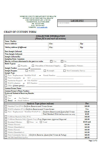 FREE 35+ Custody Forms Download – How to Create Guide, Tips
