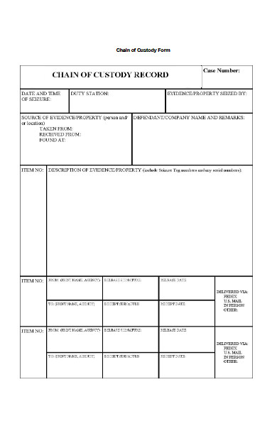 FREE 35+ Custody Forms Download – How to Create Guide, Tips