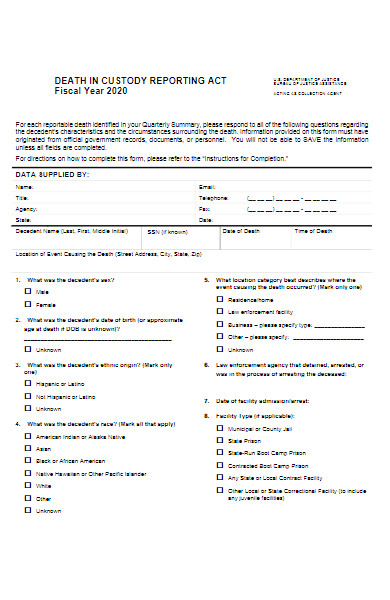 FREE 35+ Custody Forms Download – How to Create Guide, Tips