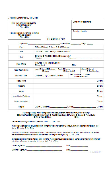 FREE 50+ Examination Forms in PDF | MS Word