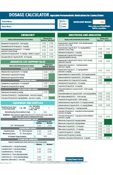 FREE 18+ Calculator Forms Download – How to Create Guide, Tips