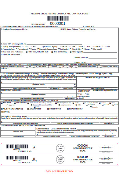 FREE 35+ Custody Forms Download – How to Create Guide, Tips