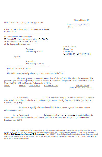 FREE 35+ Custody Forms Download – How to Create Guide, Tips