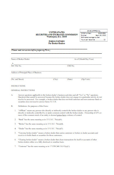 FREE 35+ Custody Forms Download – How to Create Guide, Tips