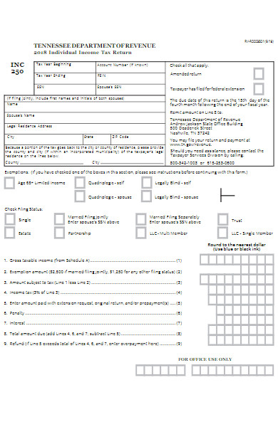 FREE 50+ Individual Forms Download – How to Create Guide, Tips