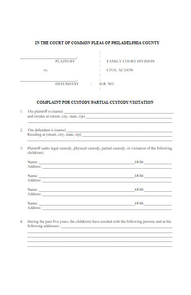 FREE 35+ Custody Forms Download – How to Create Guide, Tips