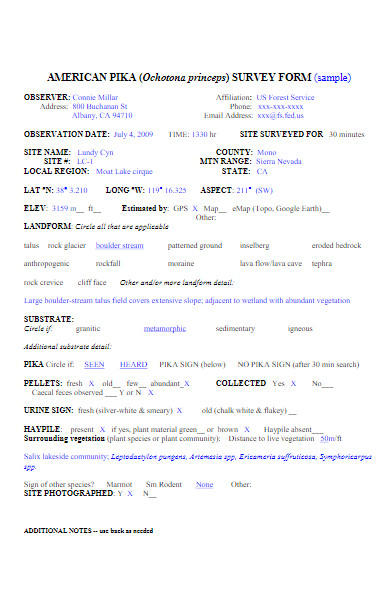 FREE 10+ Human Resources Survey Forms Download – How to Create Guide, Tips