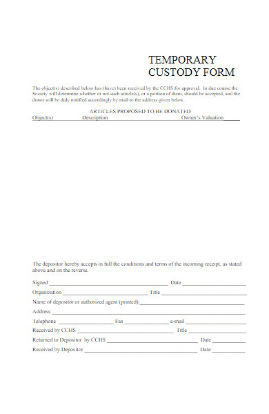 FREE 35+ Custody Forms Download – How to Create Guide, Tips
