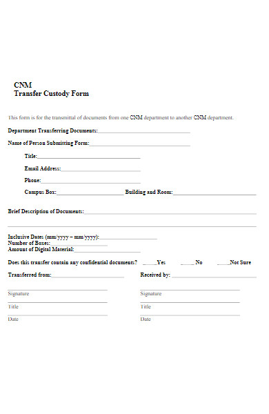 FREE 35+ Custody Forms Download – How to Create Guide, Tips