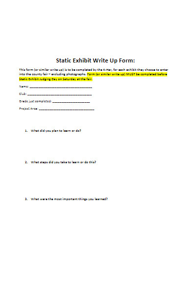FREE 10+ Write Up Forms Download – How to Create Guide, Tips