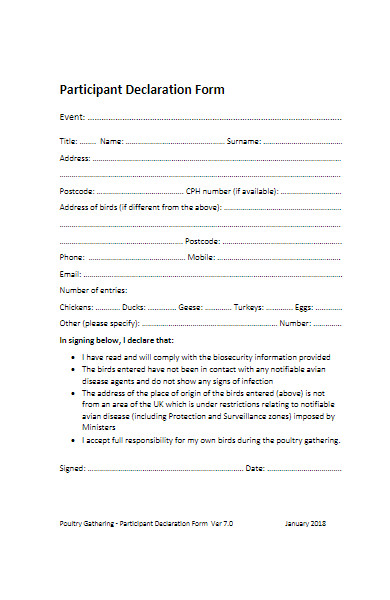 FREE 30+ Participant Declaration Forms Download – How to Create Guide, Tips