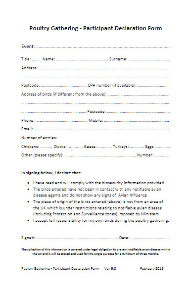 FREE 30+ Participant Declaration Forms Download – How to Create Guide, Tips